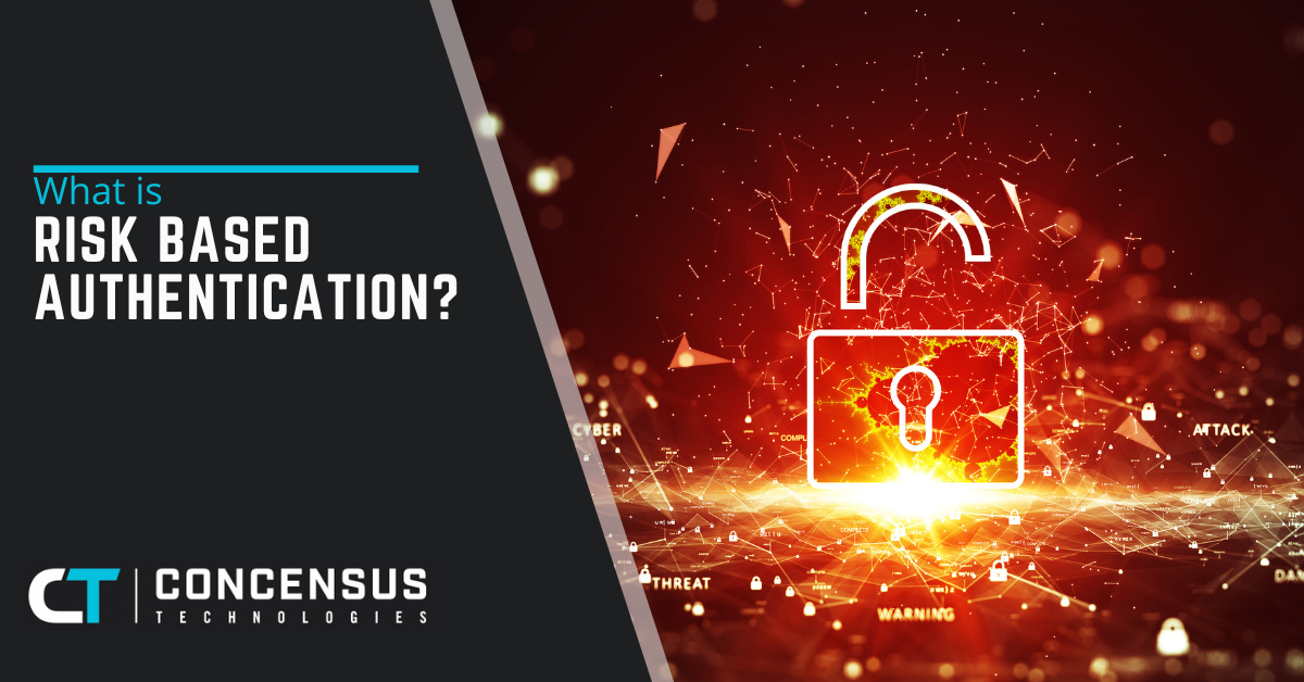 What Is Risk Based Authentication Concensus Technologies